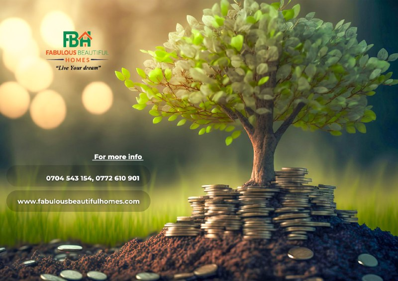 SEED MONEY: CULTIVATING YOUR BLESSINGS TO BLOSSOM INTO LAND OWNERSHIP.